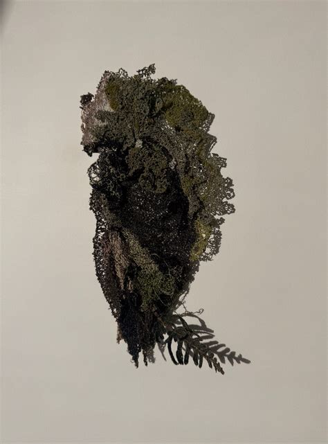 Layers Of Lichen 3d Thread Sculpture 2 Cathy Jane Designs