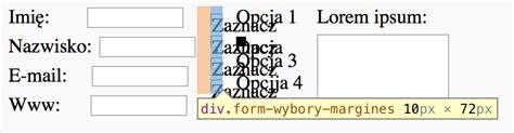 Html Correcting The Position Of Modified Checkbox And Radio Buttons And Labels Stack Overflow