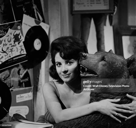 Barbara Parkins Appearing In The Abc Tv Series Peyton Place News