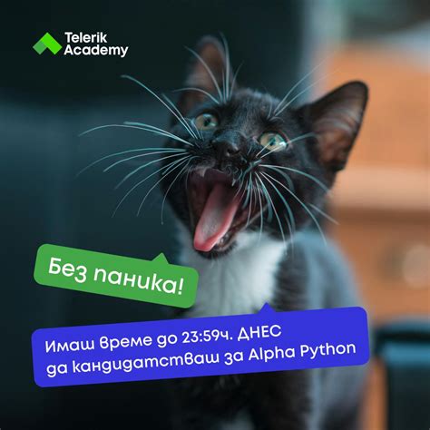 Тик так ⏰ Имаш броени часове да завършиш кандидатурата си за Alpha Python и да се впуснеш в