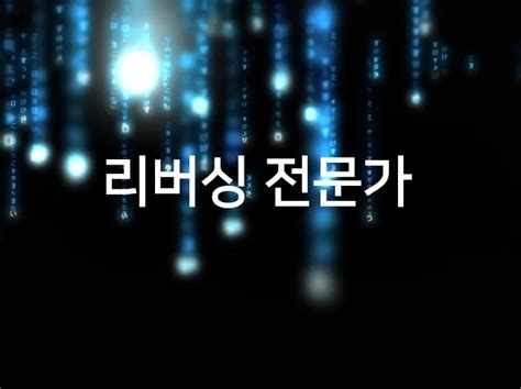 프로그램 리버싱 해 드립니다 크몽