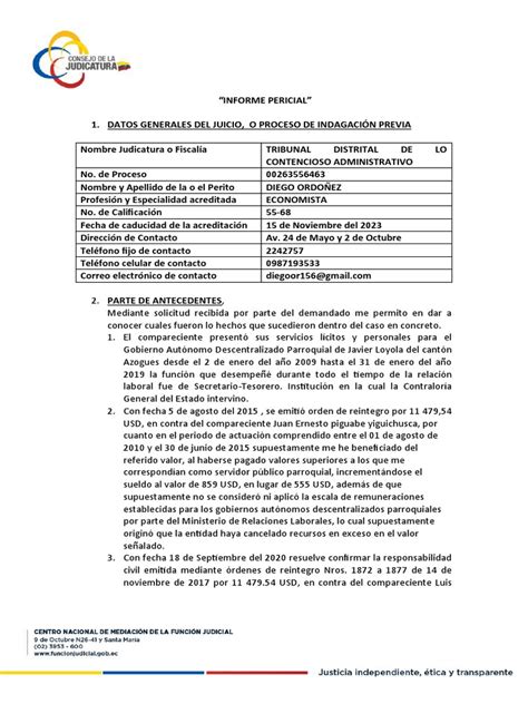 Formato De Informe Pericial Pdf Testigo Experto