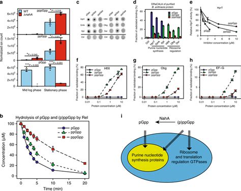 Pgpp Is Produced By Naha In Vivo And Has A Distinct Binding Spectrum Download Scientific