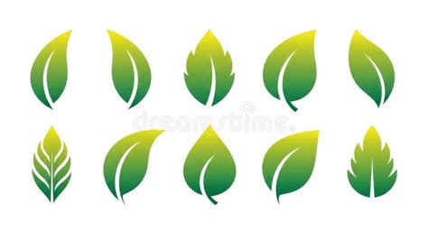 Set Of Green Leaf Logos And Icons Stock Illustration Illustration Of Foliage Emblem 400297331