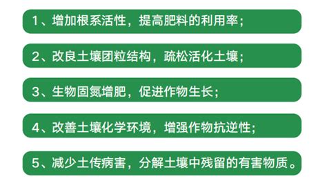 种植技术 饶平县潮农种养专业合作社 广东省潮农生物科技有限公司 青椒种植 饶平西红柿