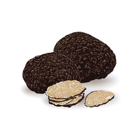 Premium Vector Black Truffles Isolated On A White Background