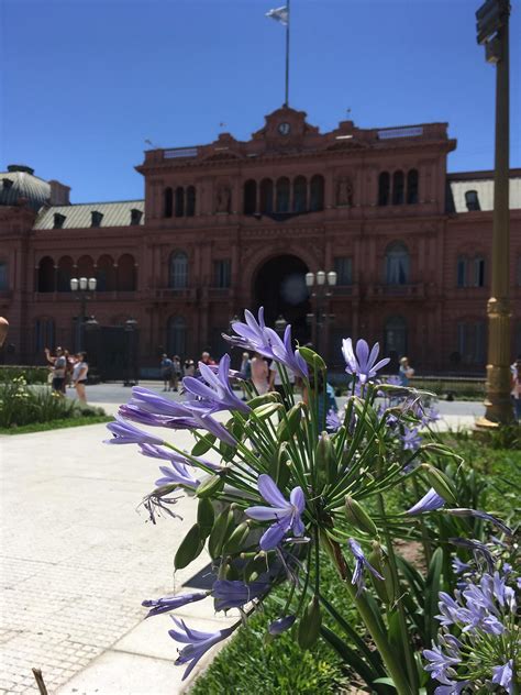 아르헨티나 아이레스 수도 부에노스 Pixabay의 무료 사진