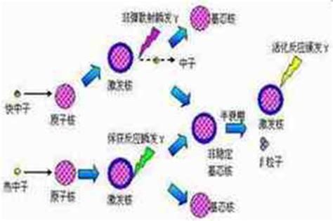 热中子增殖百度百科