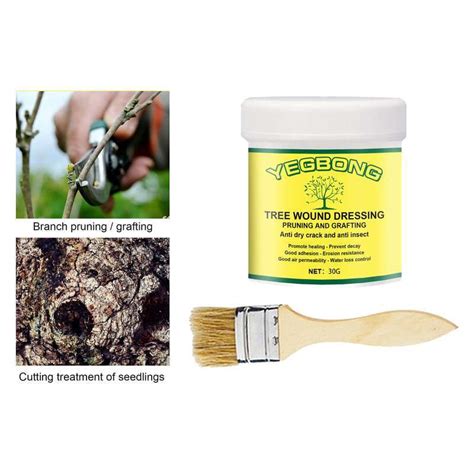 Promo Premium Tree Wound Sealer Treatment Cream Cut Heal Tree Wounds Grease 30g Diskon 33 Di