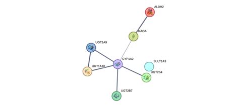 Pathcards Propranolol Pathway Pharmacokinetics Pathway And Related