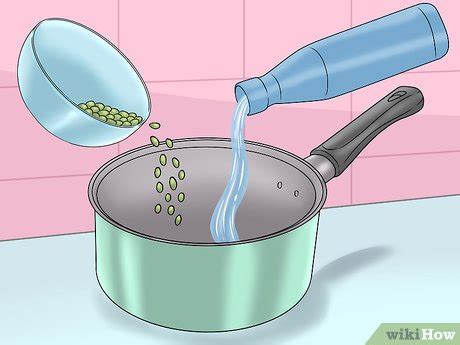 4 Ways To Eat Maple Seeds WikiHow