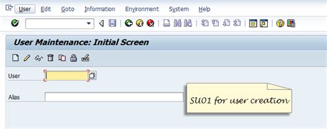 Embedded Sap User Creation In Sap