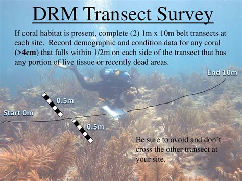 Drm Methodology This Portion Of The Training Will Review The Methodologies Of Navigating To And