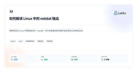 如何解读 Linux 中的 Netstat 输出 Labex
