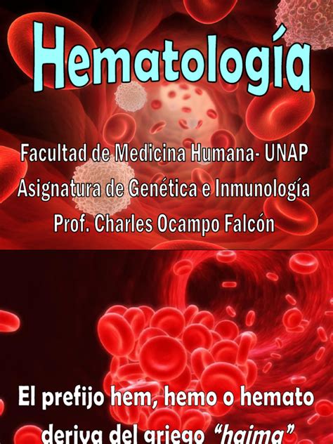 Hematopoyesis Hematíes Hierro 1 Pdf