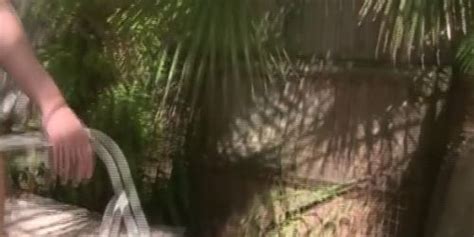 College Hotties Fucking With Strap On Dildo At Dorm Party