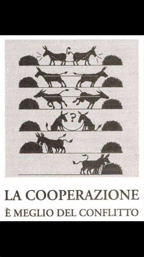 Emiliano Succi Leonelli Posted On Linkedin