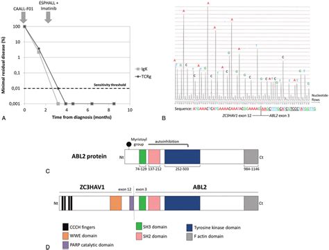 Clinical And Molecular Data A Minimal Residual Disease Monitoring In