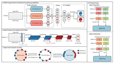 A Mutli Scale Spatial Temporal Convolutional Neural Network With Contrastive Learning For Motor