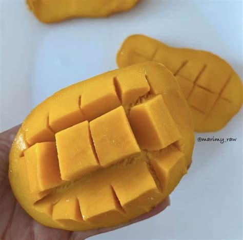 Ataulfo Mango Grow Guide Honey Champagne Tropical Tree Guide