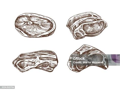 고기 돼지 고기 또는 쇠고기 스테이크 고기 베이컨 고기 조각 벡터 일러스트 레이 션의 조각의 손으로 그린 스케치 날고기 빈티지