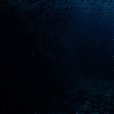 codecentric ag auf linkedin 🌊 🐠 🐙 lust auf einen deep dive in der