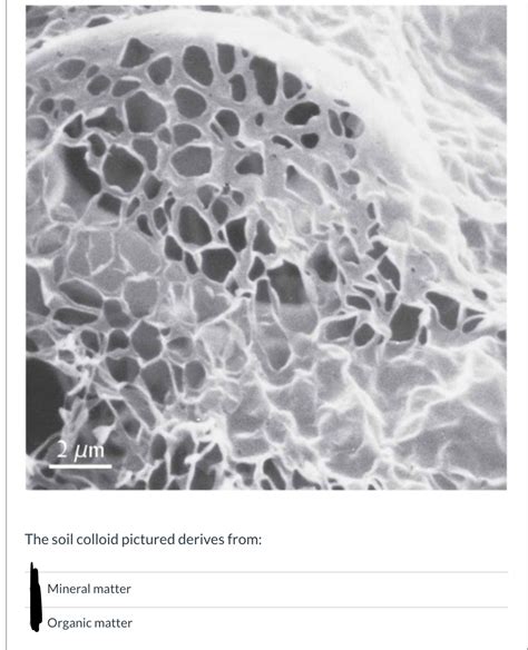 Solved 2μή Which Type Of Soil Colloid Is Represented In This
