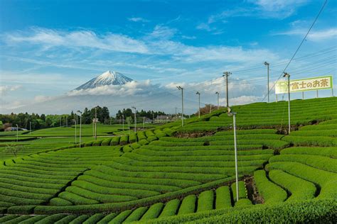 全画幅传感器与aps C传感器的区别及选择 Knowledge 77 Cizucu