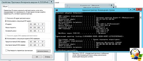 Ошибка Dns Request Timed Out исправляем за минуту Настройка серверов Windows и Linux