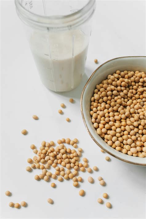 Photo Of Tofu Soybeans And Soy Milk Against White Background · Free