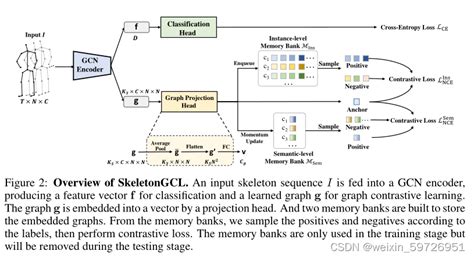 【论文总结】graph contrastive learning for skeleton based action recognition