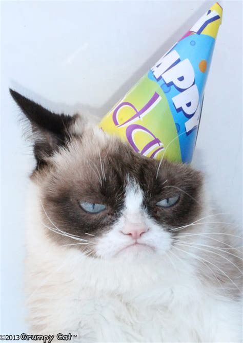 Happy Birthday Grumpy Cat Grumpy Cat®