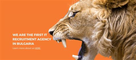 София Монтажник на механични конструкции Монтажник на механични констукции Bulwork Company Агенц