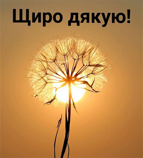 Картинки дякую 28 красивих листівок зі словами подяки