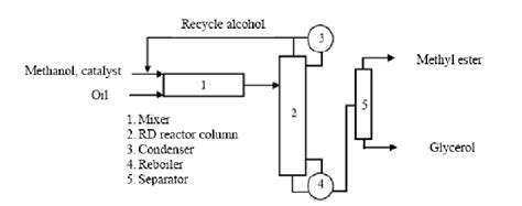 Schematic Of Reactive Distillation Column For Biodiesel Download Scientific Diagram