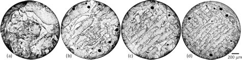 Light Optical Micrographs Of Transverse Cross Sections Of As Printed