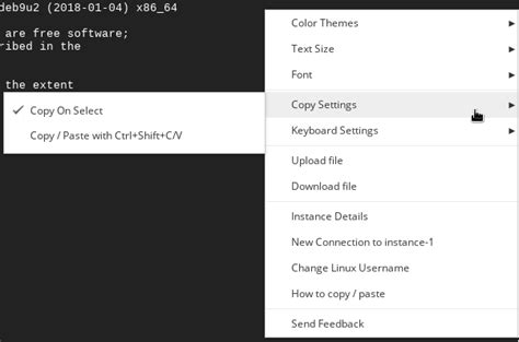 Google Compute Engine SSH Browser Options