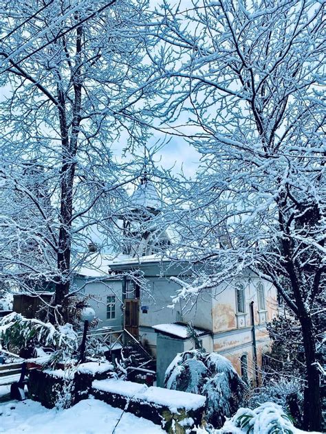 დღის ფოტო დათოვლილი სოხუმი Ambebi Ge