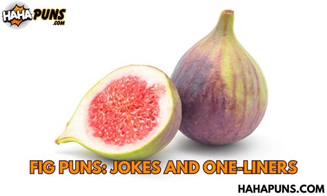 95 Fig Puns Jokes And One Liners