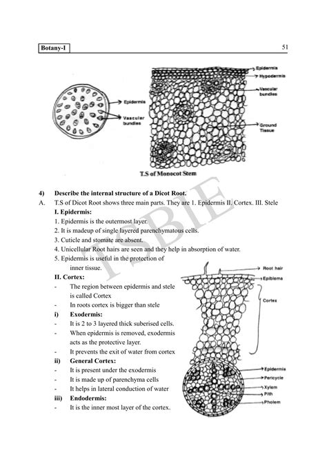 Ts Scert Inter 1st Year Botany Path 1 English Medium Text Book Indcareer Docs