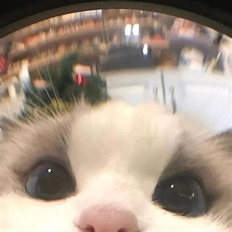 b ui t bấm nó cứ báo lỗi giải đc í