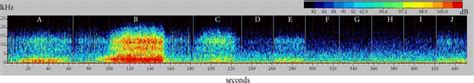 Spectrogram Of All The Played Back Vessel Noise Stimuli Frequency