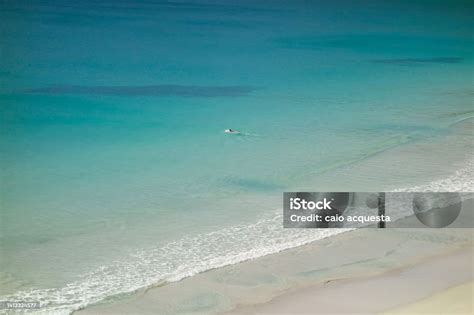 화창한 아침에 아름다운 해변에서 혼자 수영을합니다 공중 바다에 대한 스톡 사진 및 기타 이미지 바다 결정체 경관 Istock