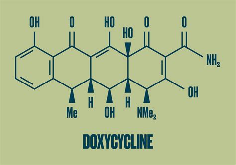 What Is Doxycycline Used To Treat In Dogs