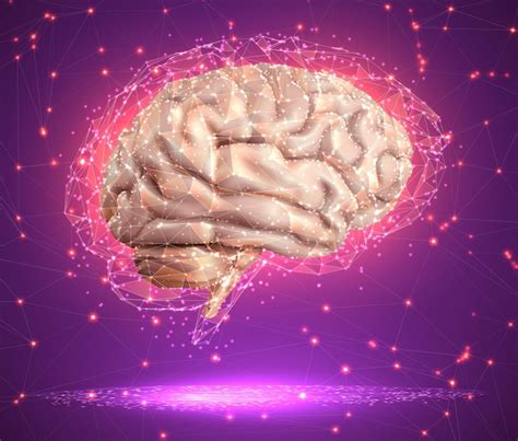 Premium Vector Human Brain And Abstract Design Elements Mesh Vector
