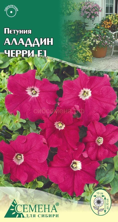 ЦВЕТЫ ОДНОЛЕТНИЕ — Семена для Сибири