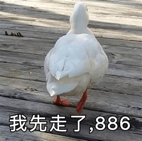 Vue 富文本编辑器 Tinymce 对懒人 非常友好 一看就懂vue富文本编辑器 Csdn博客