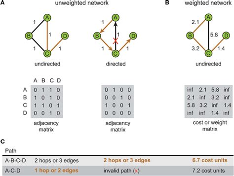 Shortest Path For The Same Problem Can Be Different Depending On The