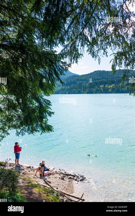 Kochel Am See Walchensee Lake Walchen Beach Sunbather In