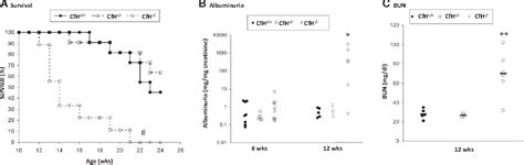Figure 1 From Complement Factor H Deficiency Accelerates Development Of